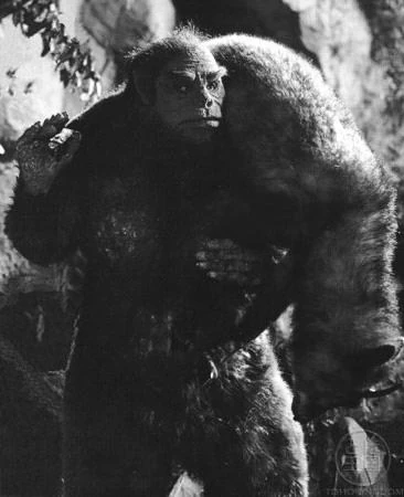 Category:Dreamworks Universes | Non-alien Creatures Wiki | Fandom