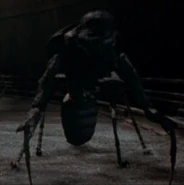 Judas Breed | Non-alien Creatures Wiki | Fandom