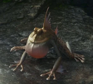 Parrot Frog | Non-alien Creatures Wiki | Fandom