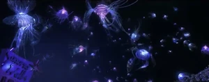 Sky Jelly | Non-alien Creatures Wiki | Fandom