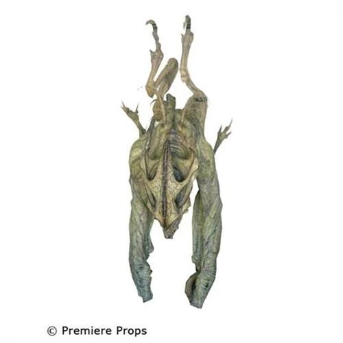 Category:Blind Creatures | Non-alien Creatures Wiki | Fandom