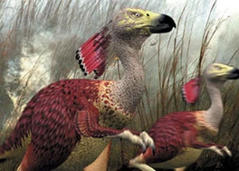 Carakiller | Non-alien Creatures Wiki | Fandom