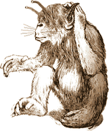 Psammead | Non-alien Creatures Wiki | Fandom