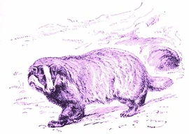 Garta | Non-alien Creatures Wiki | Fandom