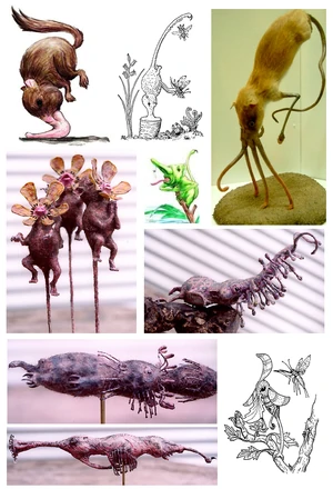 Snouter | Non-alien Creatures Wiki | Fandom