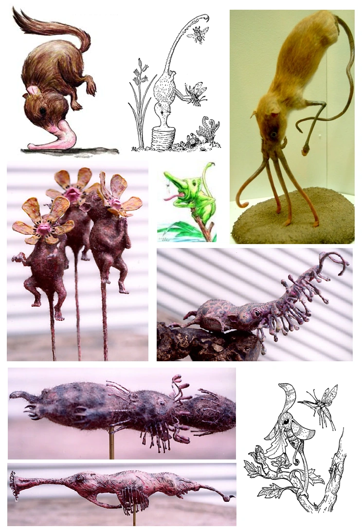 Snouter | Non-alien Creatures Wiki | Fandom