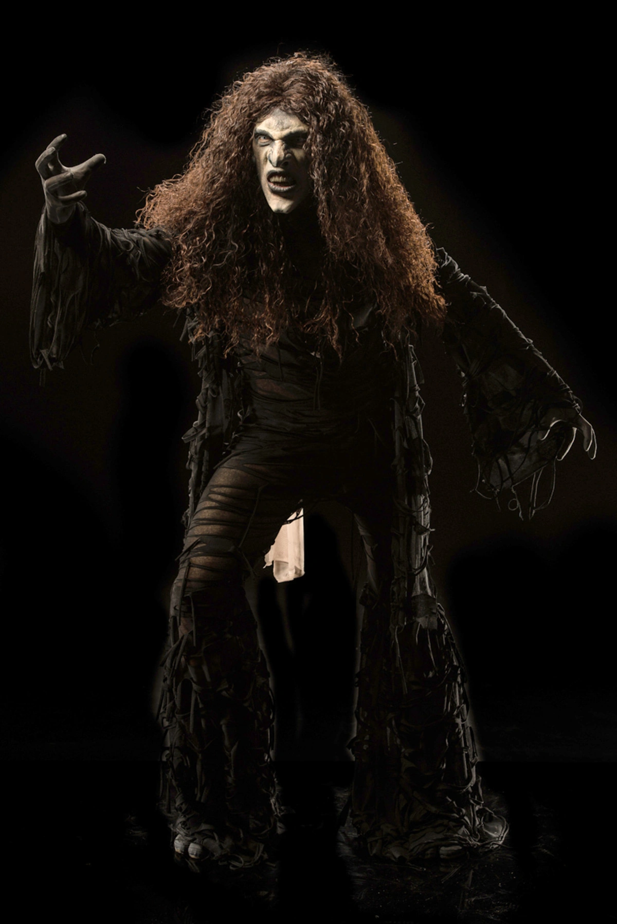 Daran's Shadow Creature | Non-alien Creatures Wiki | Fandom