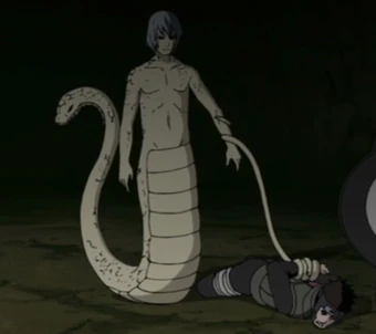 is kabuto human