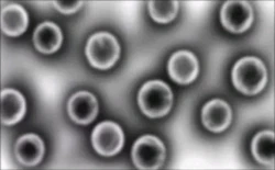 Tyrant Virus | Non-alien Creatures Wiki | Fandom