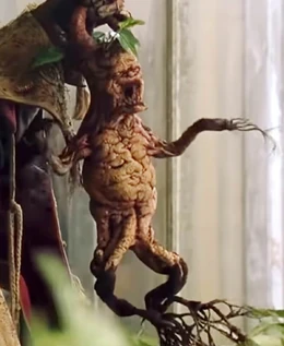 Mandrake | Non-alien Creatures Wiki | Fandom