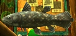 Ancient Fish (The Legend of Zelda) | Non-alien Creatures Wiki | Fandom