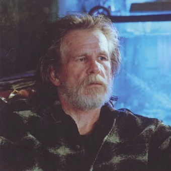 David Banner Hulk 2003 Vs