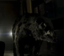 Mutant Bear (Annihilation) | Non-alien Creatures Wiki | Fandom