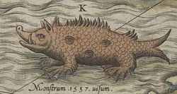 Sea Swine | Non-alien Creatures Wiki | Fandom