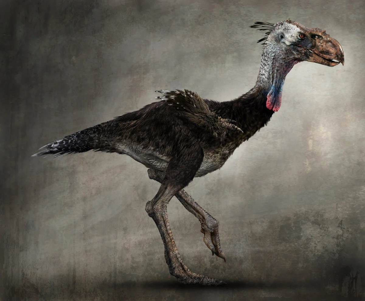 Terror Bird (10,000 B.C.) | Non-alien Creatures Wiki | Fandom