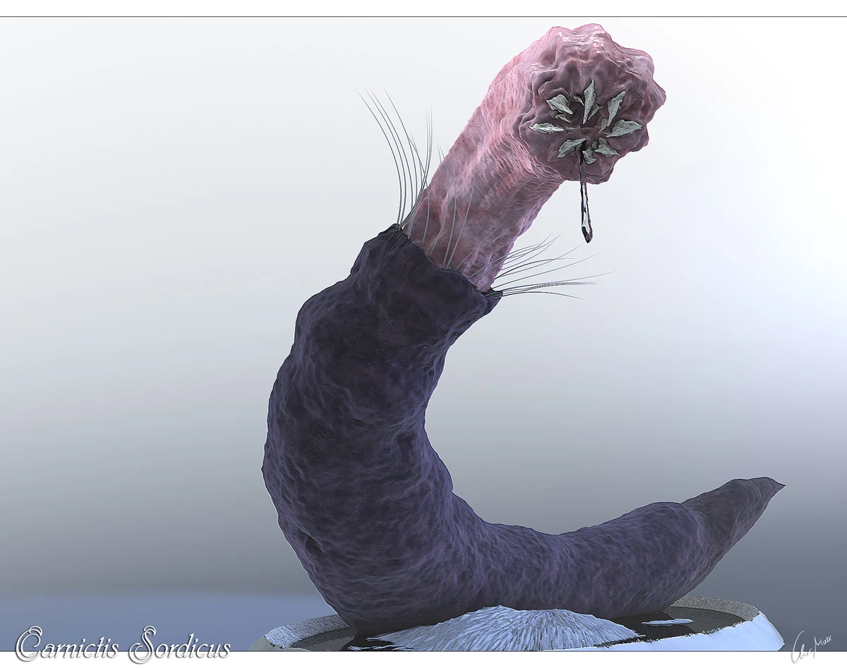 Category:Scavengers | Non-alien Creatures Wiki | Fandom