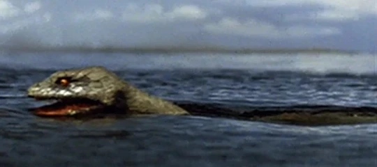 Category:King Kong Universe | Non-alien Creatures Wiki | Fandom