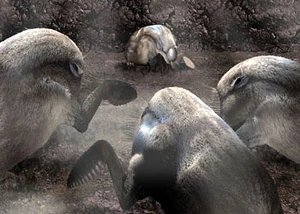 Spink | Non-alien Creatures Wiki | Fandom