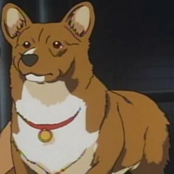 Ein | Non-alien Creatures Wiki | Fandom