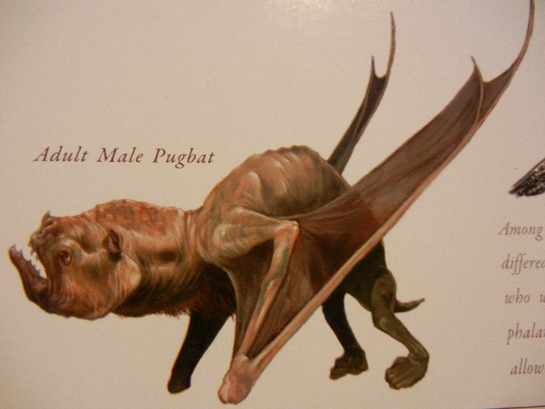 Category:Cynodonts | Non-alien Creatures Wiki | Fandom