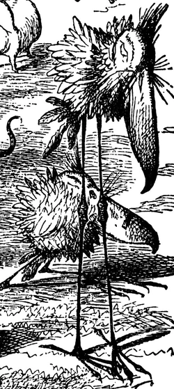 Borogove | Non-alien Creatures Wiki | Fandom