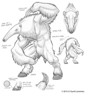 Capelobo | Non-alien Creatures Wiki | Fandom