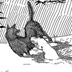 Snow Wasset | Non-alien Creatures Wiki | Fandom