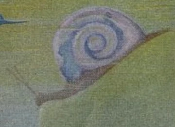 Category:Gastropods | Non-alien Creatures Wiki | Fandom