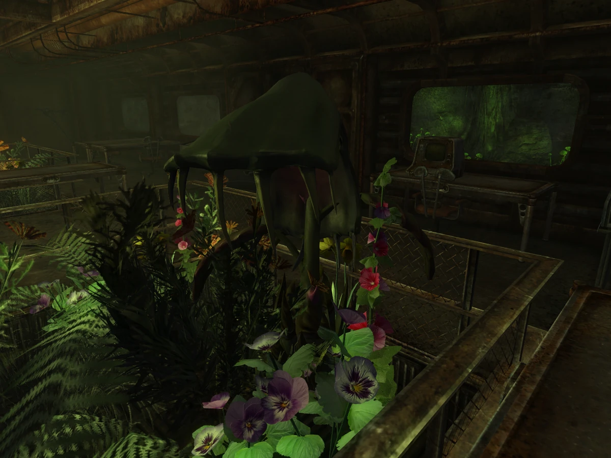 Spore Plant | Non-alien Creatures Wiki | Fandom