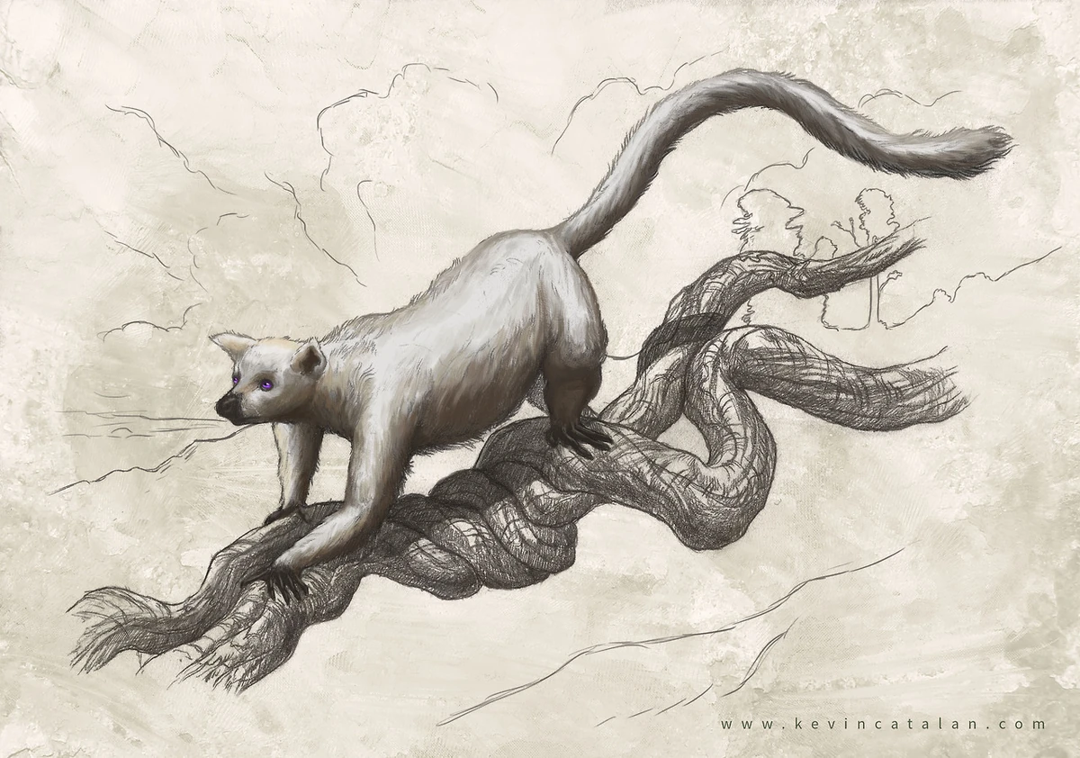 Little Valyrian | Non-alien Creatures Wiki | Fandom