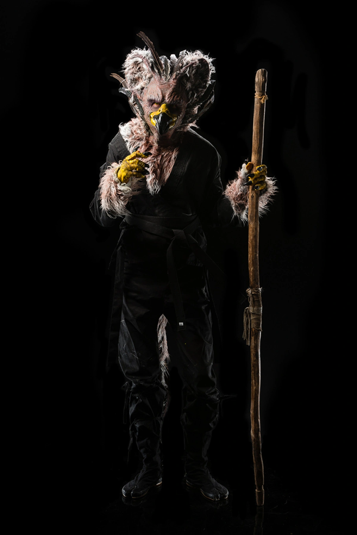 Fox/Hawk Hybrid | Non-alien Creatures Wiki | Fandom