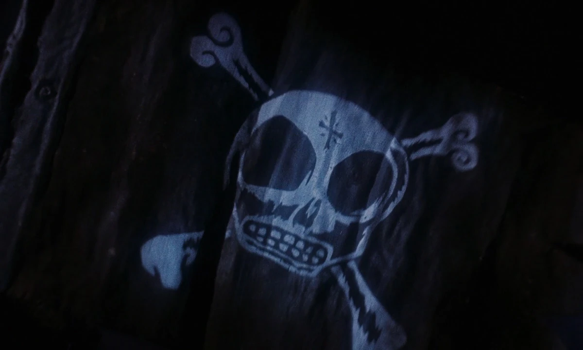 Skeleton Pirates | Non-alien Creatures Wiki | Fandom