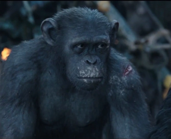 Ash (Dawn of the Planet of the Apes) | Non-alien Creatures Wiki | Fandom