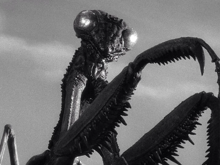 Deadly Mantis | Non-alien Creatures Wiki | Fandom