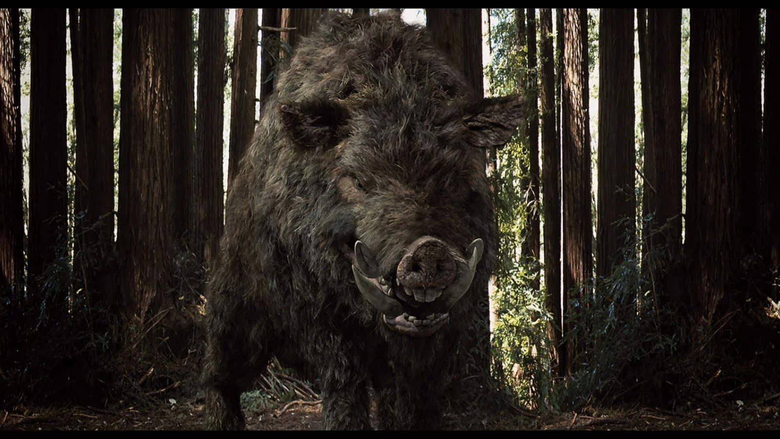 Giant Wild Boar Attack