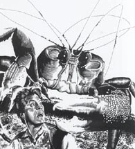 Crab Creature | Non-alien Creatures Wiki | Fandom