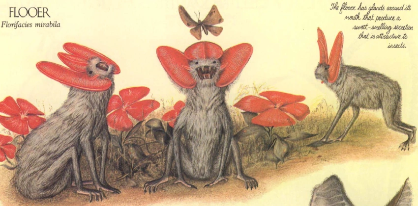 Flooer | Non-alien Creatures Wiki | Fandom