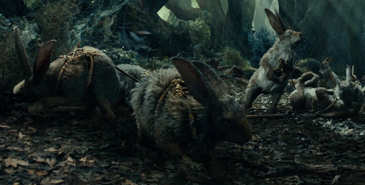 Radagast The Brown Rabbits