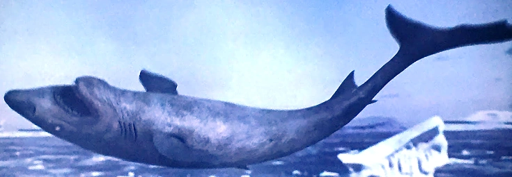 Ice Shark | Non-alien Creatures Wiki | Fandom