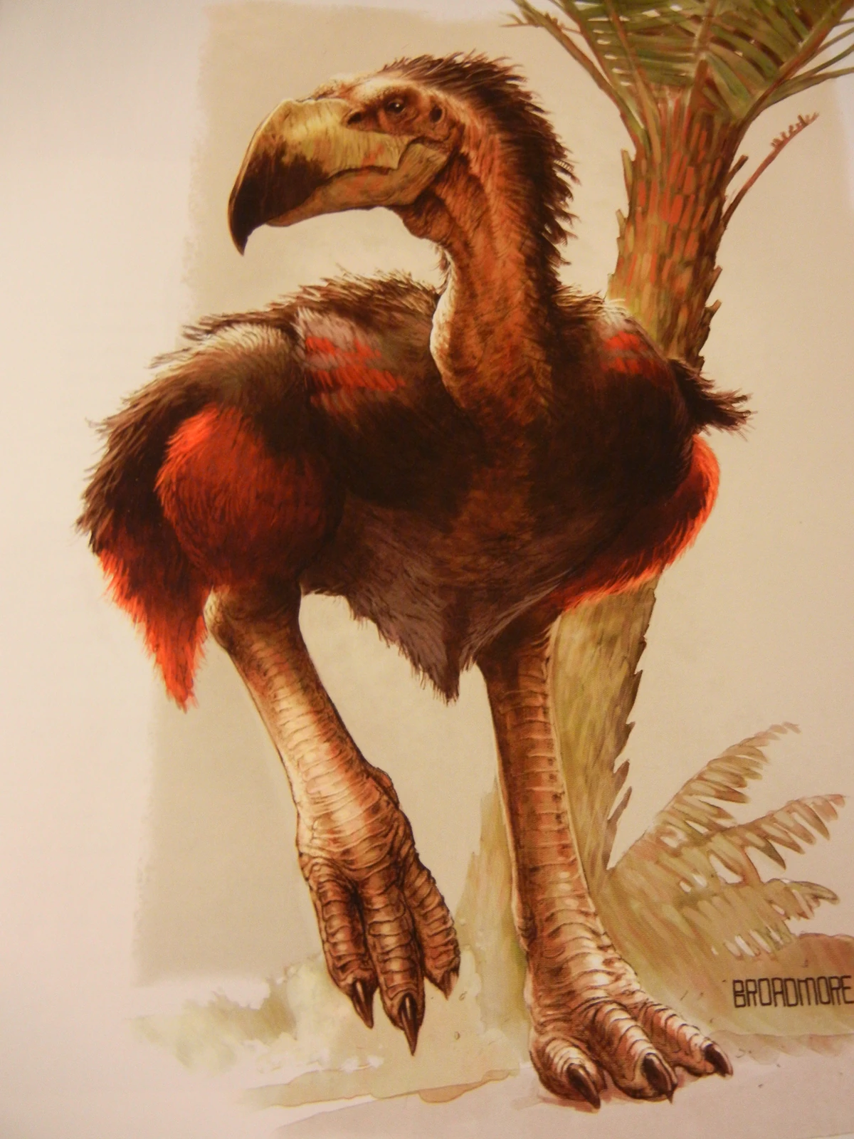 Zeropteryx torova | Non-alien Creatures Wiki | Fandom