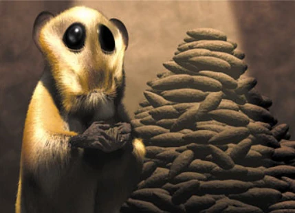 Poggle | Non-alien Creatures Wiki | Fandom