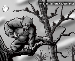 Drop Bear | Non-alien Creatures Wiki | Fandom