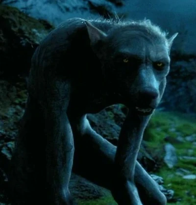 Werewolf (Harry Potter) | Non-alien Creatures Wiki | Fandom