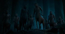 Centaur (Harry Potter) | Non-alien Creatures Wiki | Fandom