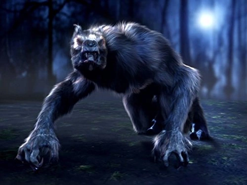 Rougarou | Non-alien Creatures Wiki | Fandom