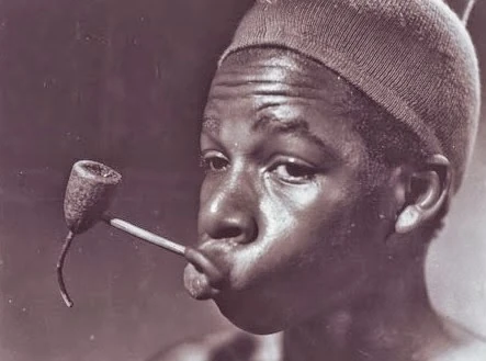 Saci | Non-alien Creatures Wiki | Fandom