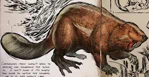 Castoroides feliconcisor | Non-alien Creatures Wiki | Fandom