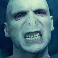 Voldemort | Non-Disney Wiki | Fandom