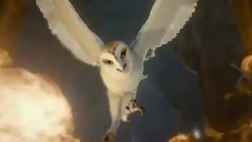 Nyra | Non-Disney Villain Wiki | Fandom