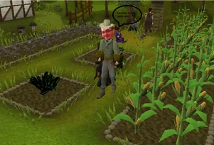 Nooblet Wiki | Fandom